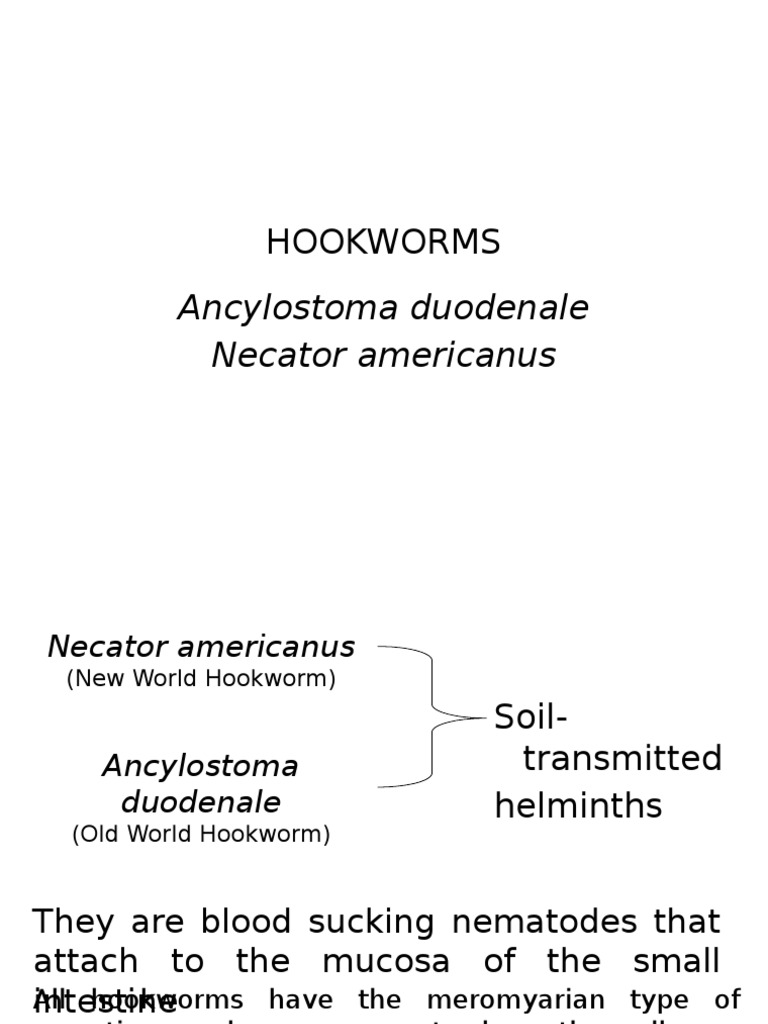 Comparative Morphology, Life Cycles, Pathology and Diagnosis of the ...