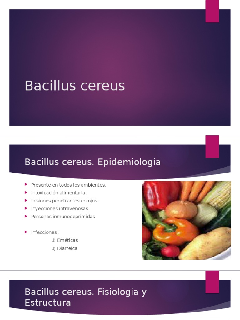 Bacillus Cereus | PDF | Diarrea | Inmunología