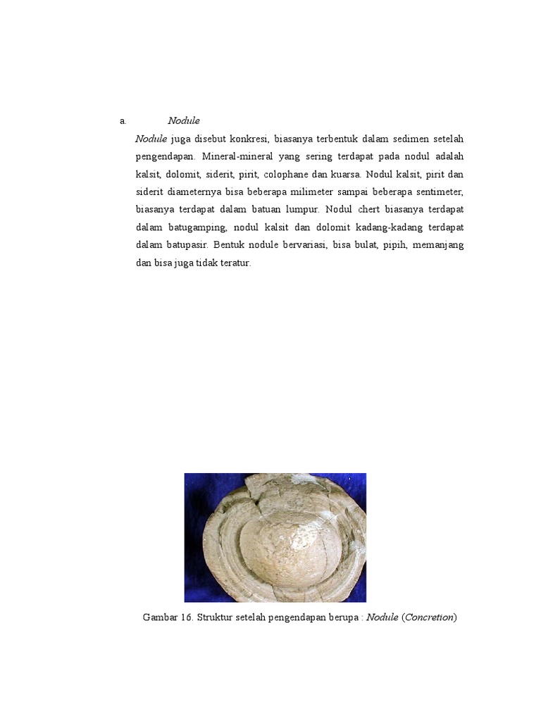 Struktur Sedimen | PDF | Batuan Sedimen | Batuan (Geologi)