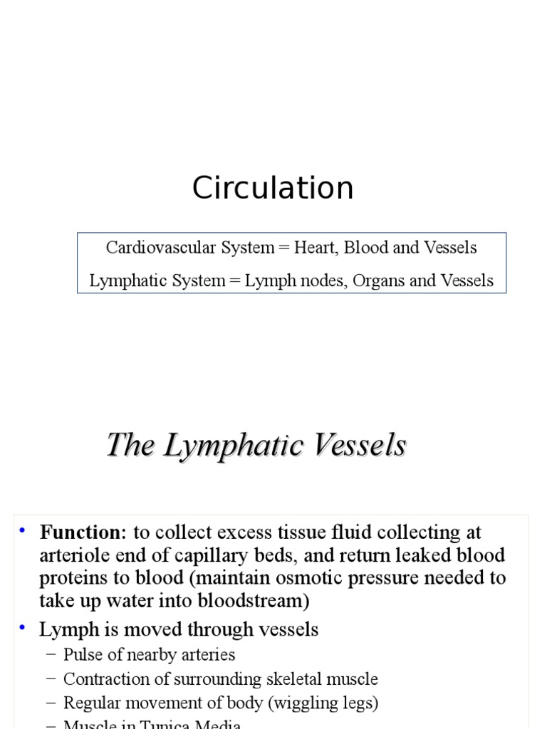 Circulation: Cardiovascular System Heart, Blood and Vessels Lymphatic ...