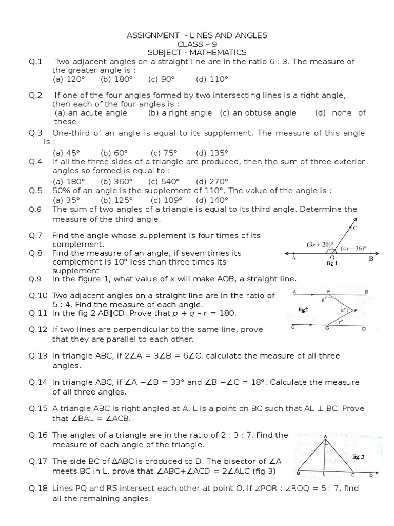 Lines and Angles Maths Assignment Class 9 CBSE | PDF | Triangle | Angle