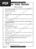 Amoeba Sisters Video Recap of Plant Reproduction in Angiosperms | PDF