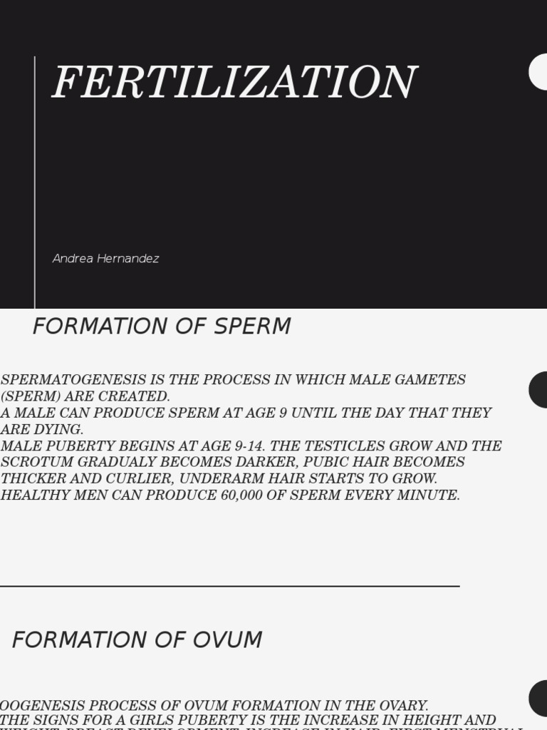 Fertilization | PDF