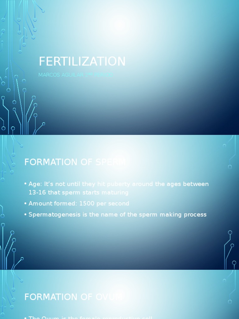 Sperm and Egg: Fertilization Process | PDF