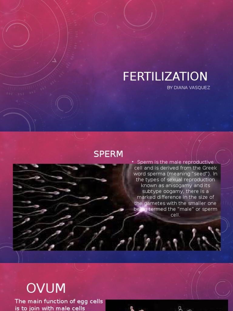 Fertilization | PDF