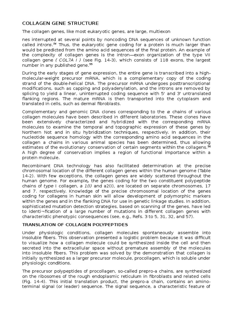 Collagen Gene Structure | PDF | Proline | Collagen