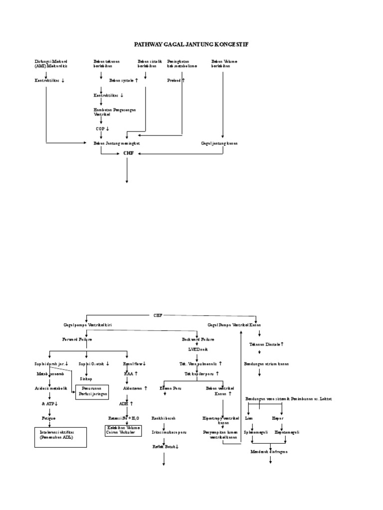 CHF Pathway | PDF