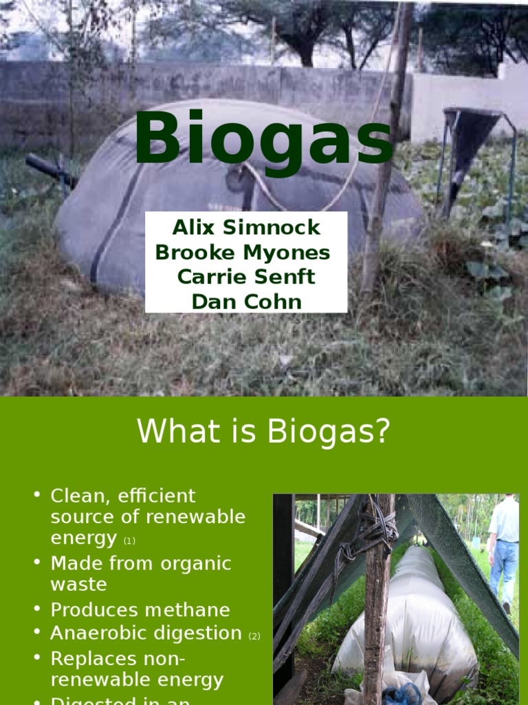 Biogas: Alix Simnock Brooke Myones Carrie Senft Dan Cohn | PDF ...