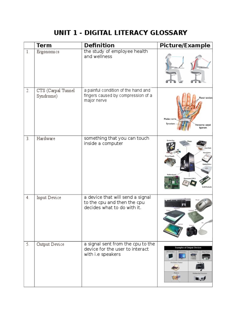 Digital Literacy Glossary Terms | PDF