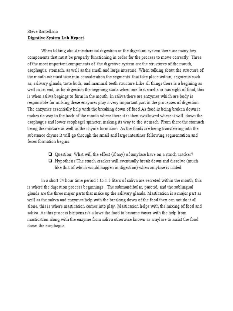 Digestive System Lab Report Insights | PDF | Digestion | Saliva