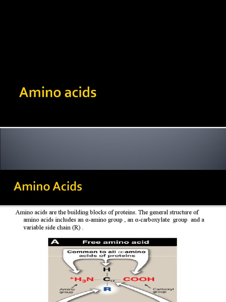 Amino Acids Properties | PDF | Amino Acid | Acid