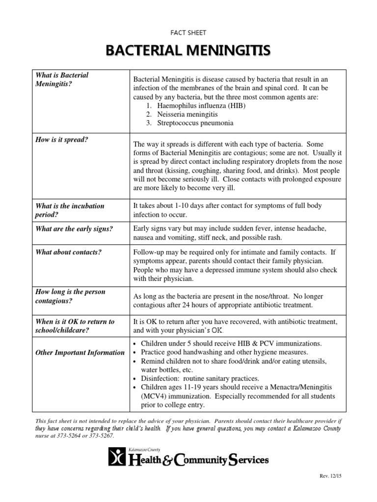 Bacterial Meningitis Fact Sheet | PDF