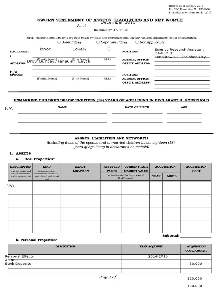 2015 SALN Form.doc | Net Worth | Government