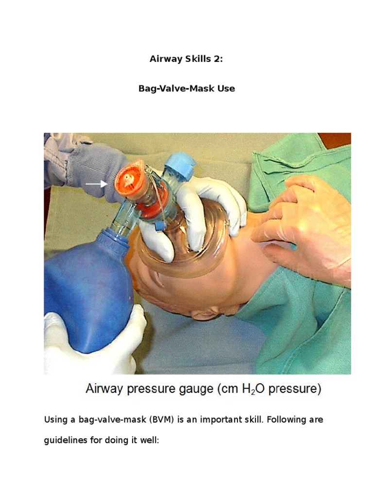 Bag-Valve-Mask Ventilation Guide | PDF | Respiration | Respiratory System