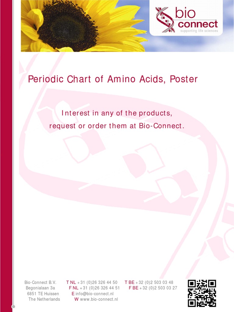 Bachem-Periodic Chart Amino Acids Poster 377 | PDF