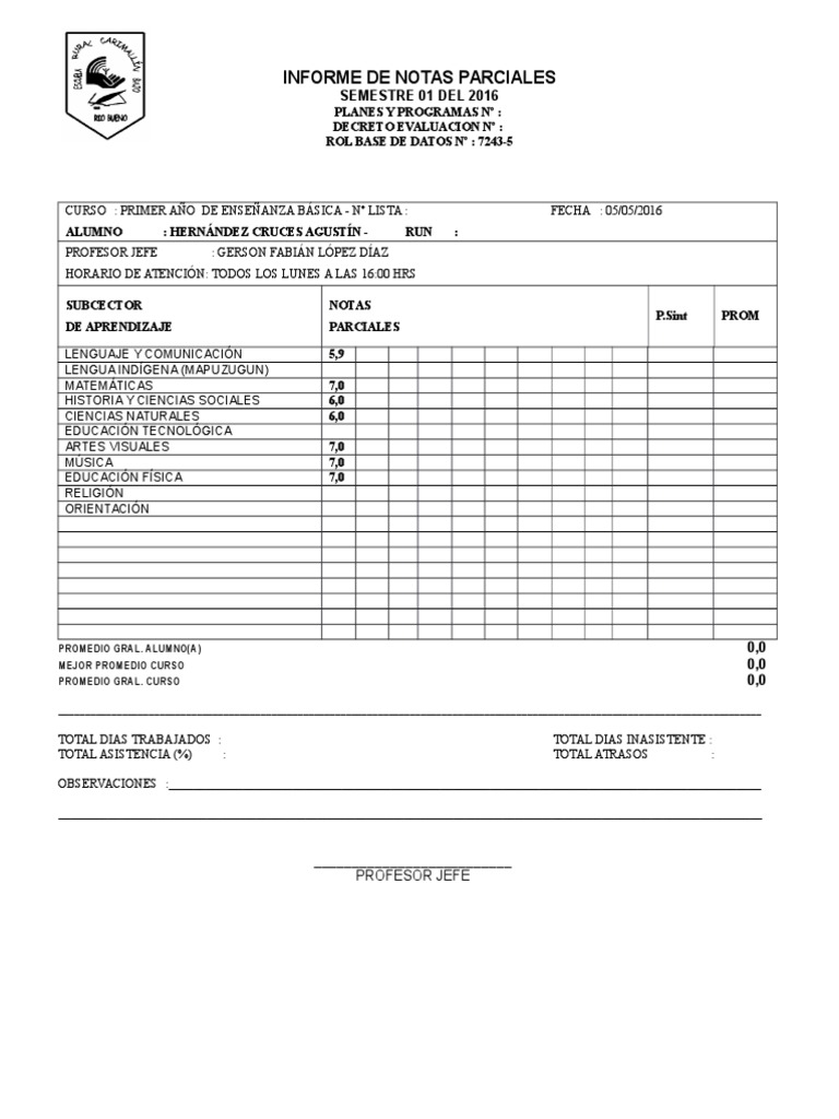 Informe Parcial de Notas (Individual) | PDF