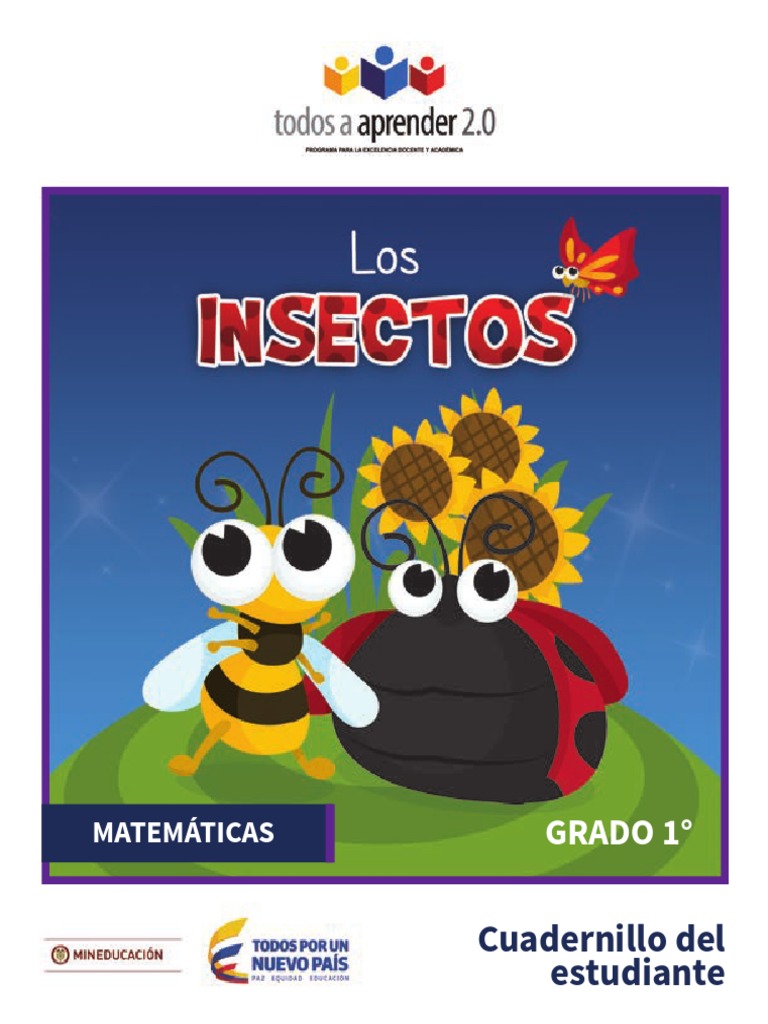 Cuadernillo de Matemáticas 1° Grado | PDF | Insectos | Ocio