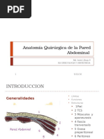 Anatomia de Mesorecto | PDF | Cáncer colonrectal | Cirugía