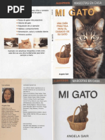 Texto Expositivo El Gato | PDF