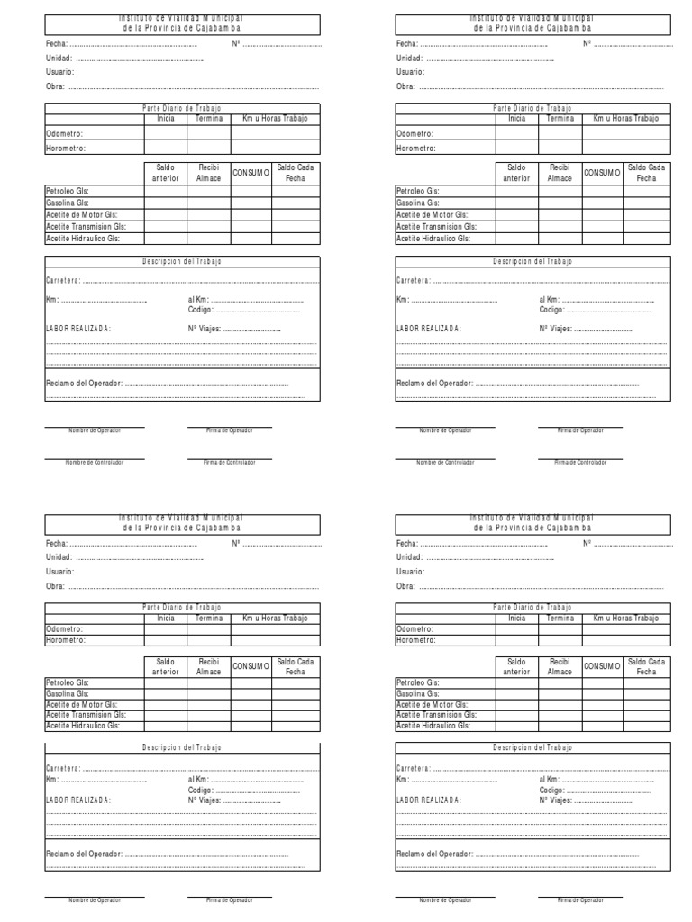 Modelo Parte Diario | PDF