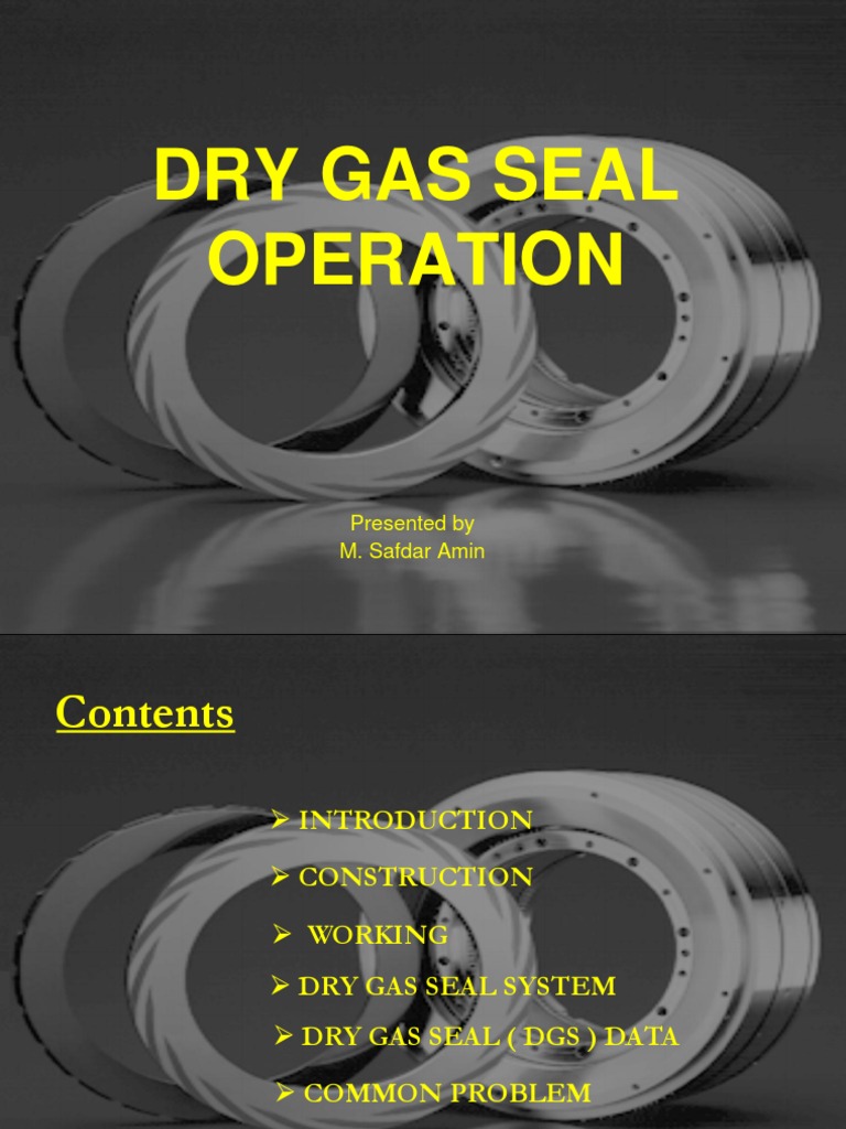 Dry Gas Seal Operation Guide | PDF
