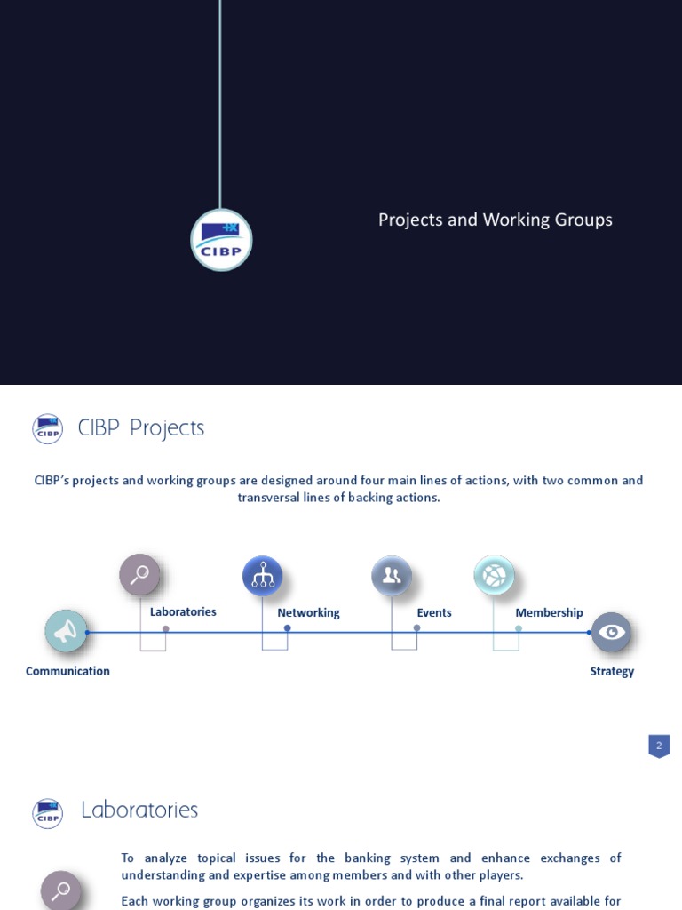 CIBP Governance and Digitalization Labs | PDF | Cooperative | Financial ...