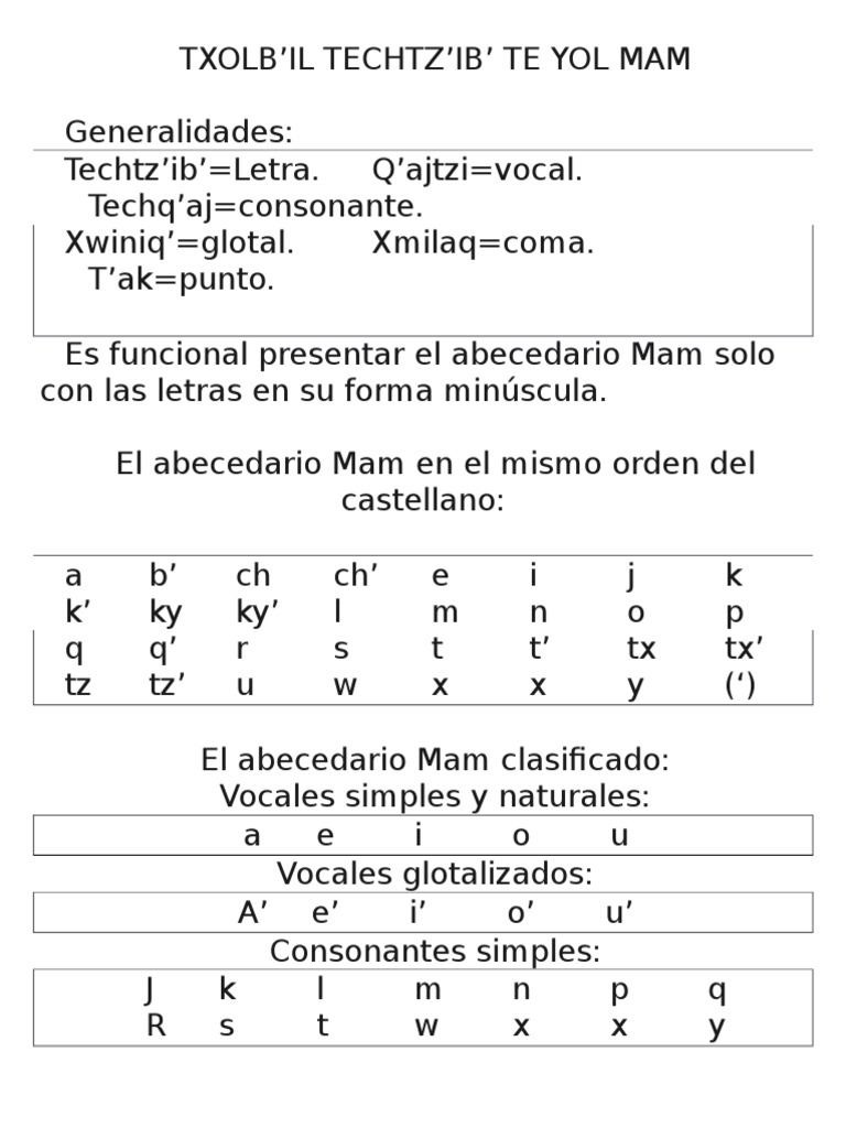 Guía para La Didáctica Mam (Completa) | PDF | Alfabeto | Escritura