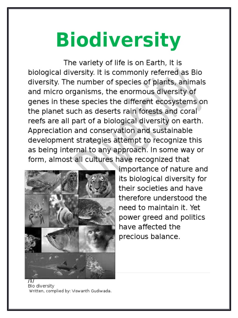 An In-Depth Look at Biodiversity: Genetic, Species, and Ecosystem ...