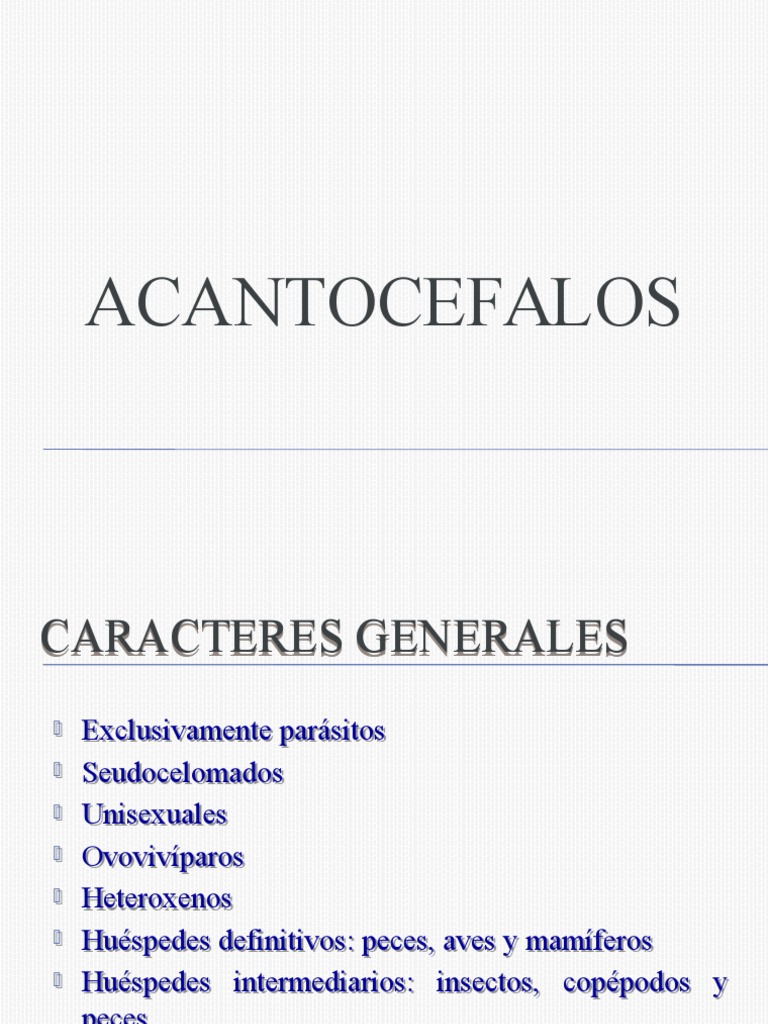 Acantocefalos | PDF | Biología | Organismos