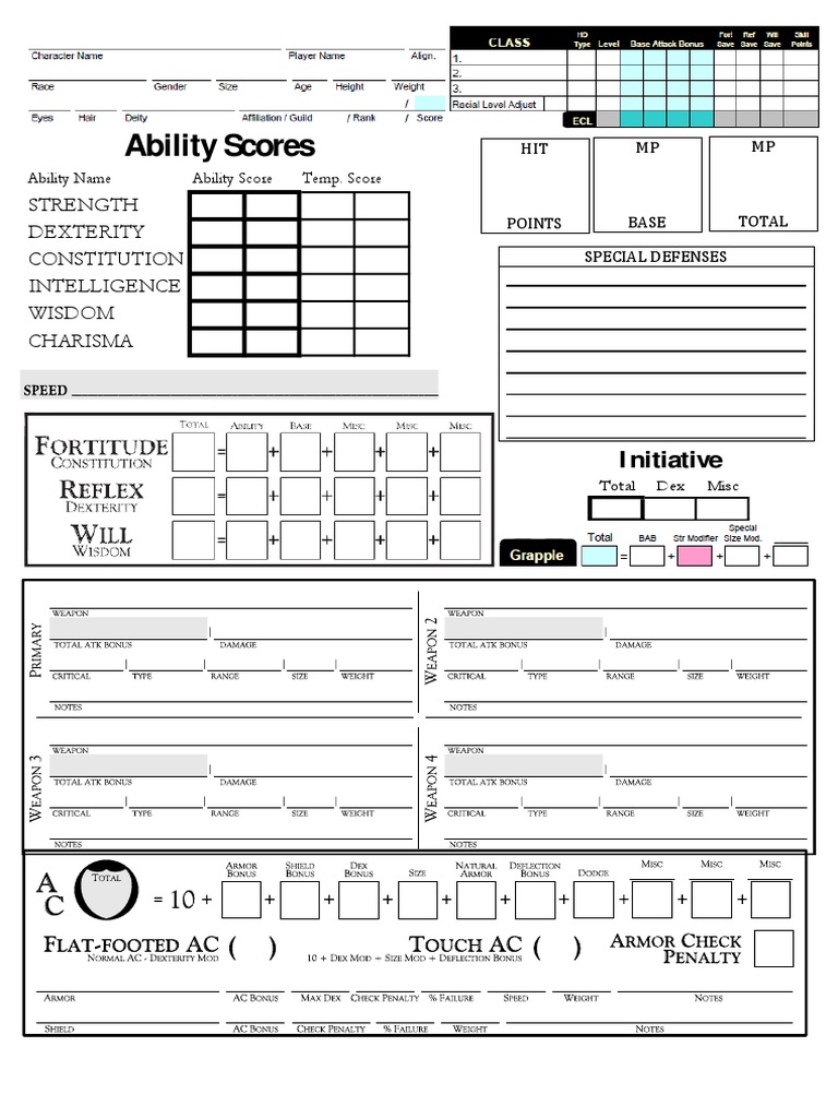 Custom D&D Sheet | PDF