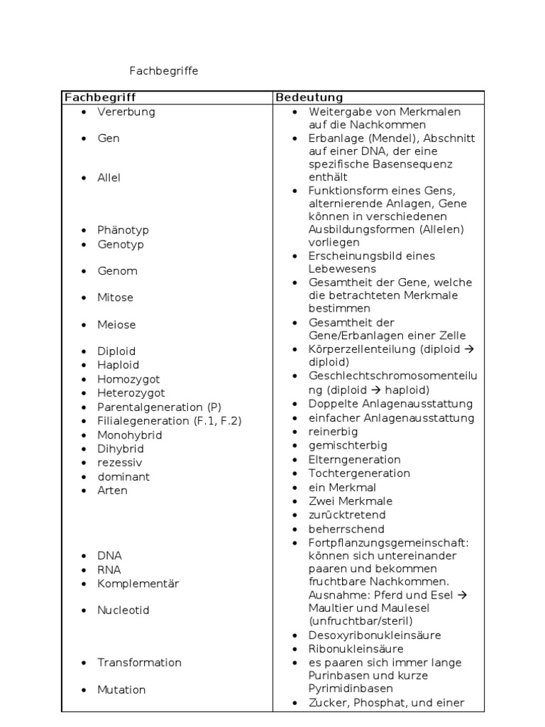 Fachbegriffe | PDF