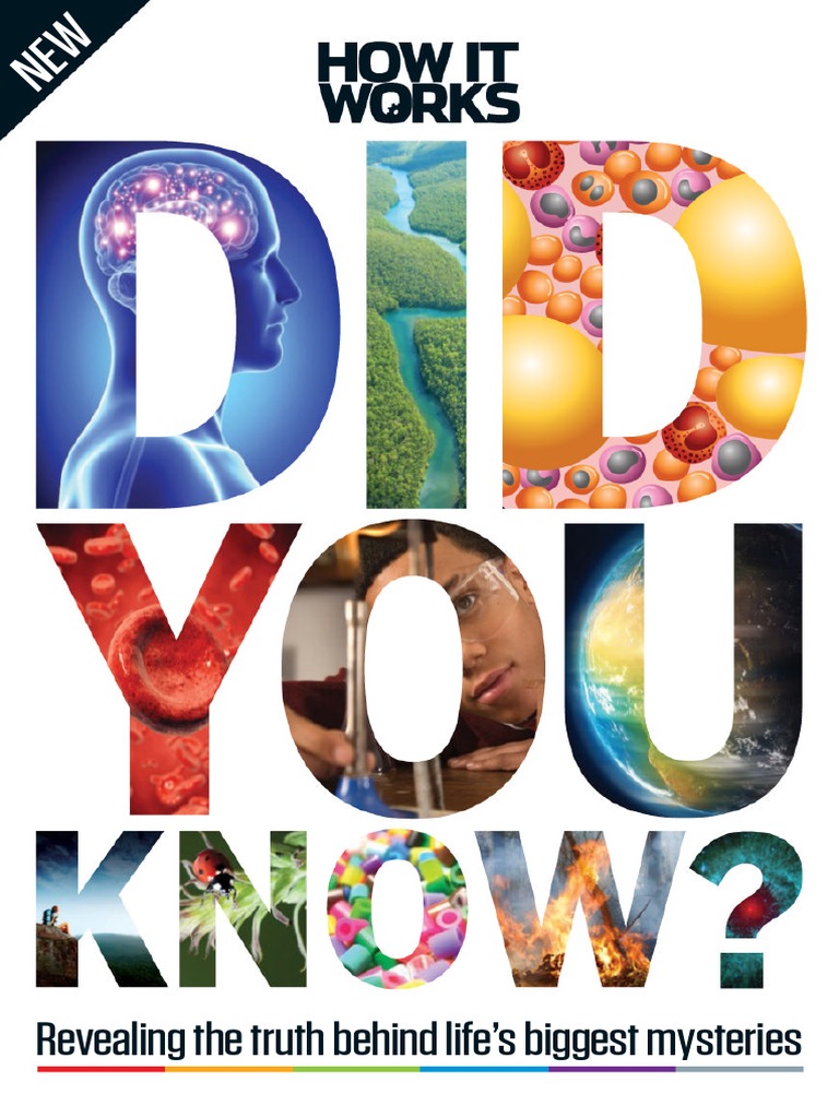 How It Works Book of Did You Know PDF | PDF