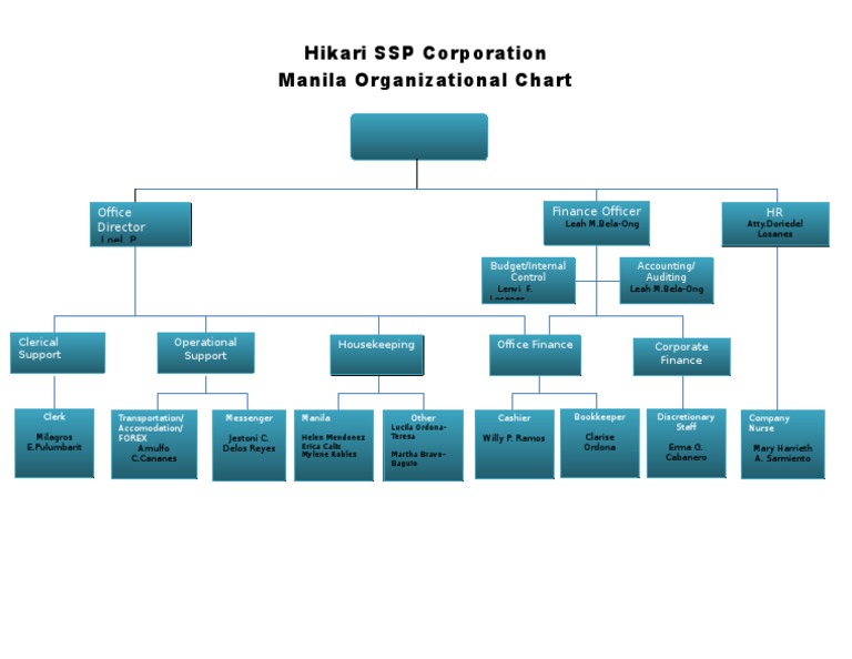 Hikari SSP Corporation Org Chart | PDF