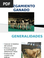 Raza Caprina Anglo-Nubian: Características y Cuidados | PDF | Cabra | Leche