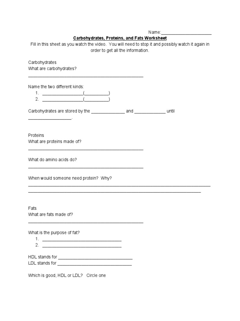 Carbohydrates, Proteins, and Fats Worksheet | PDF | Business