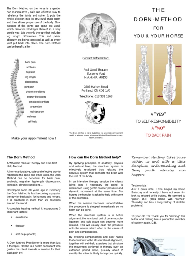 Dorn Method Horse | PDF | Back Pain | Pain