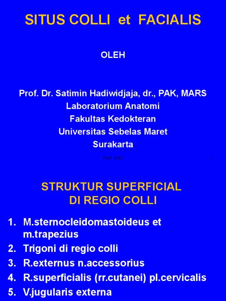 Kuliah Anatomi Situs Colli Et Facialis - Prof Satimin Hadiwidjaja | PDF