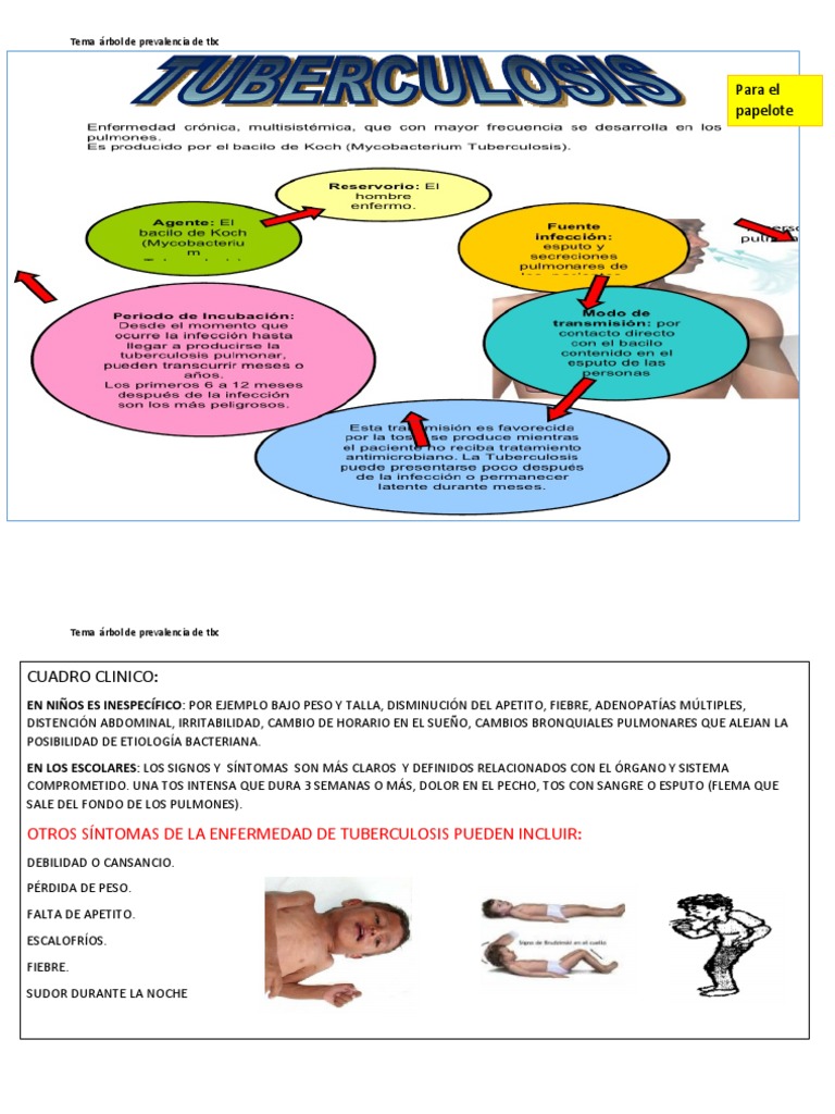 Tema de Exposicion de Tbc | Tuberculosis | Enfermedades y trastornos