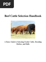 SDSU Livestock Judging Manual | PDF | Sheep | Nipple