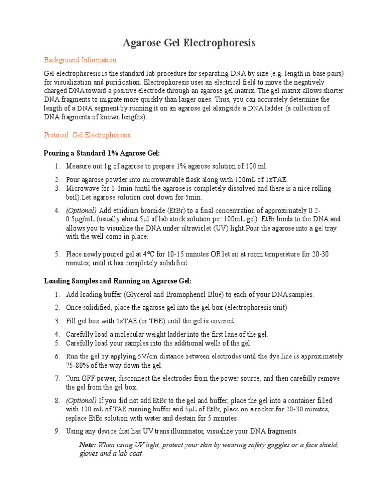 Agarose Gel Electrophoresis Protocol | PDF