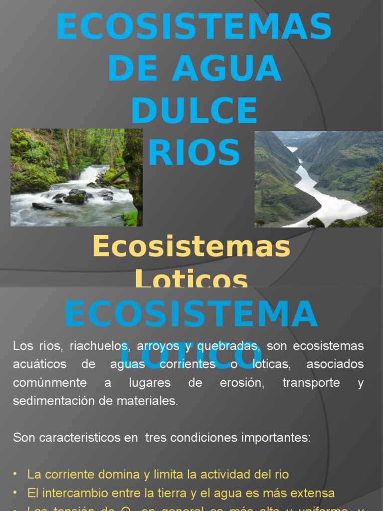 ecosistemas de los rios | Río | Naturaleza