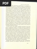 Lesson Plan - Plotting The Par | PDF | Latitude | Tropical Cyclones