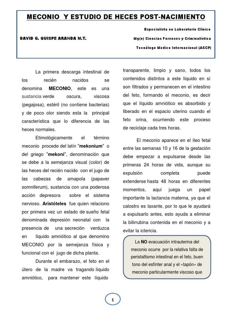 Meconio en Recién Nacidos: Guía Esencial | PDF