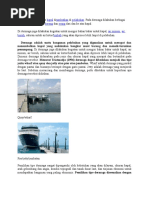 Tipe-Tipe Dermaga dalam Perencanaan Pelabuhan | PDF