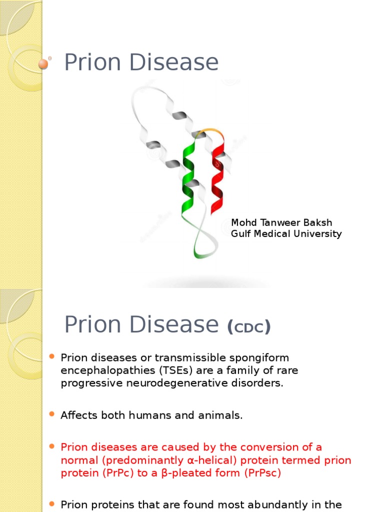 Prion Disease For Medical Students | PDF | Nervous System | Diseases ...
