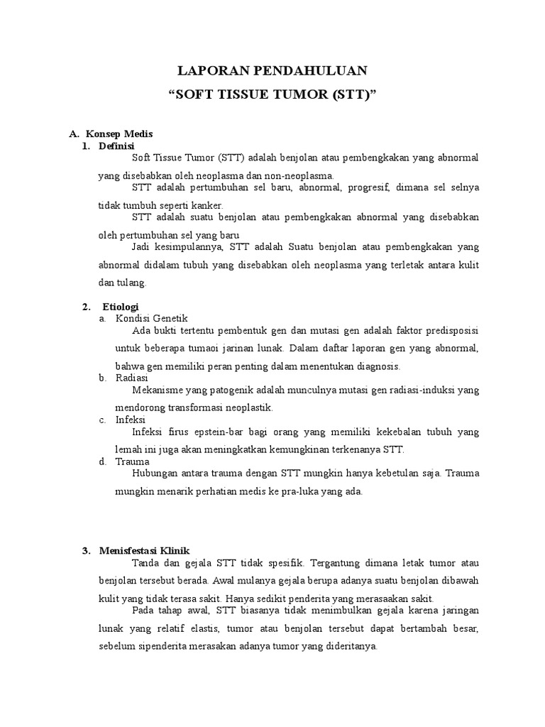 Laporan Pendahuluan STT | PDF