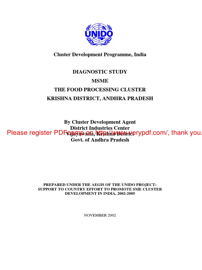 Diagnostic Study Report of Food Processing, Krishna District, Andhra ...