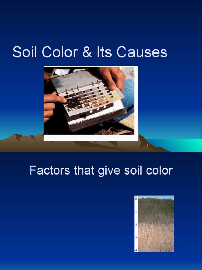 Soil and Its Colour | PDF