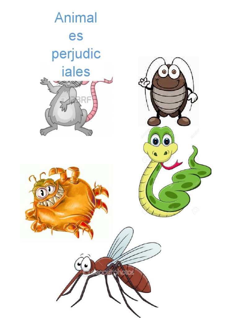 5 animales perjudiciales y 5 utiles animados.docx
