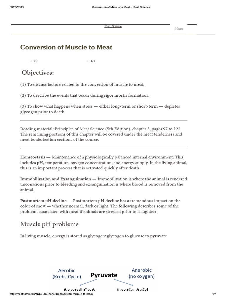Conversion of Muscle To Meat - Meat Science | PDF | Meat | Glycogen